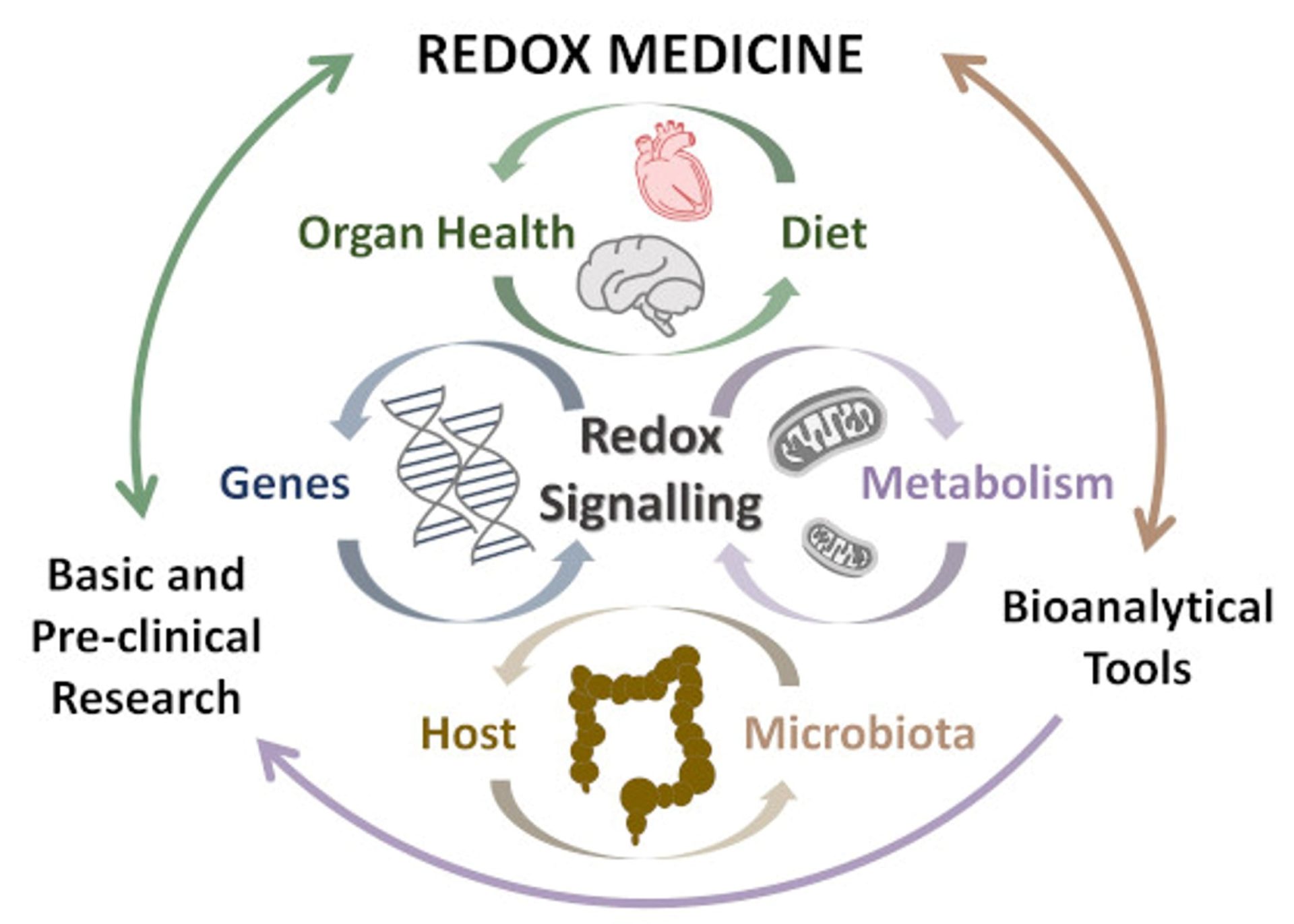 1st FEBS Redox Medicine Workshop: from cellular signaling to systems ...