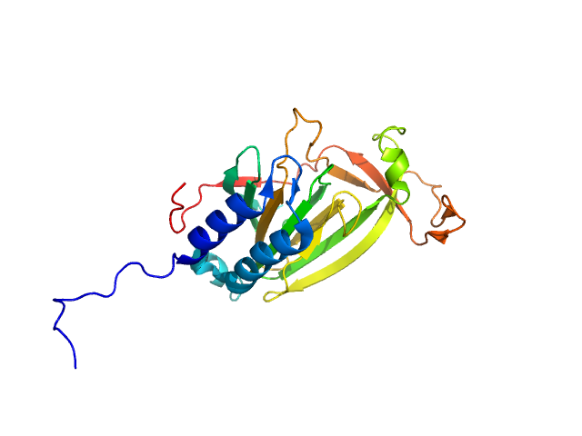 Protein Termini 2024: from insight to impact - FEBS