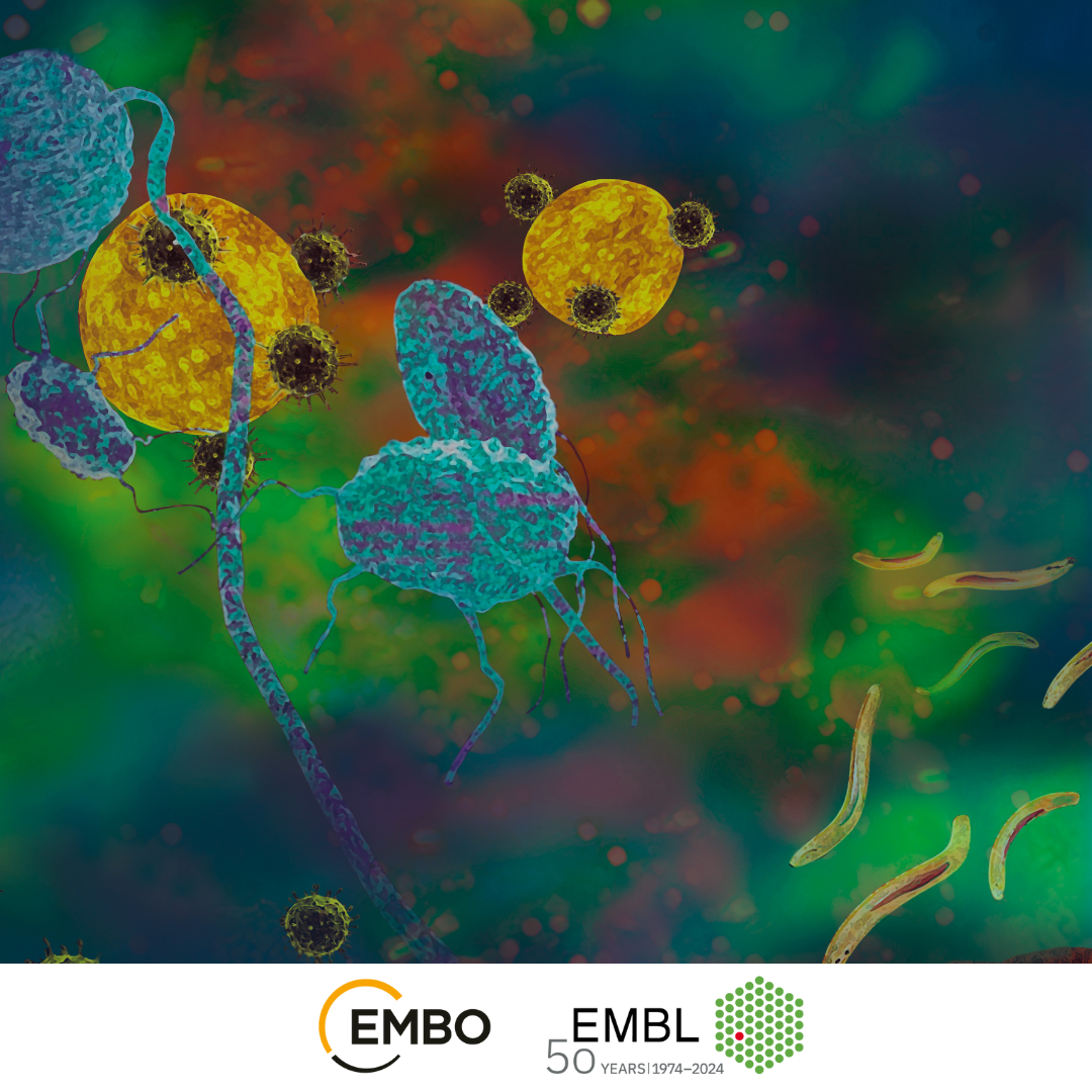 EMBO | EMBL Symposium Innate immunity in host-pathogen interactions - FEBS