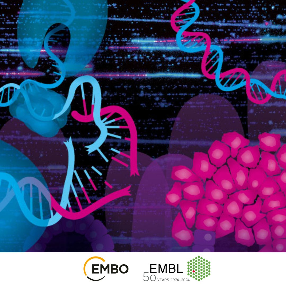 EMBO | EMBL Symposium DNA replication: from basic biology to disease - FEBS