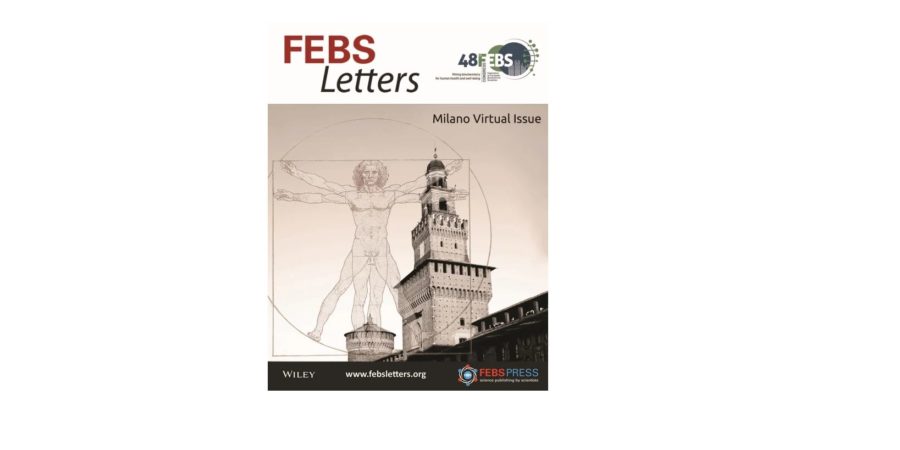 Latest news - FEBS