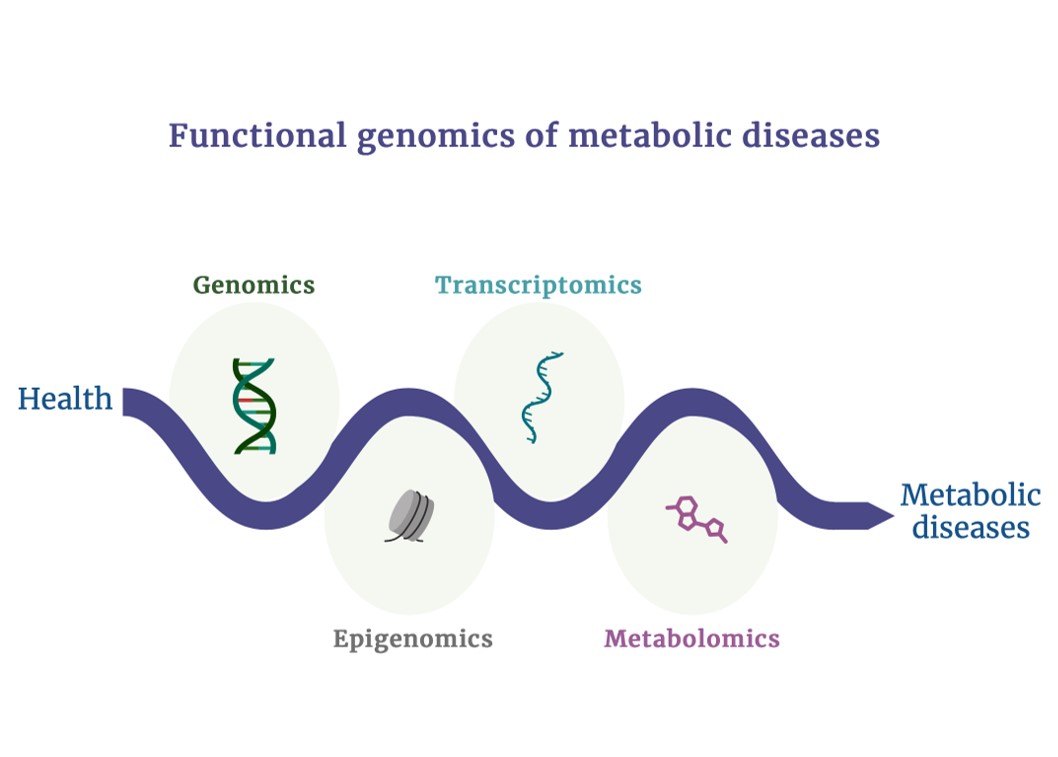 Functional genomics of metabolic diseases - FEBS